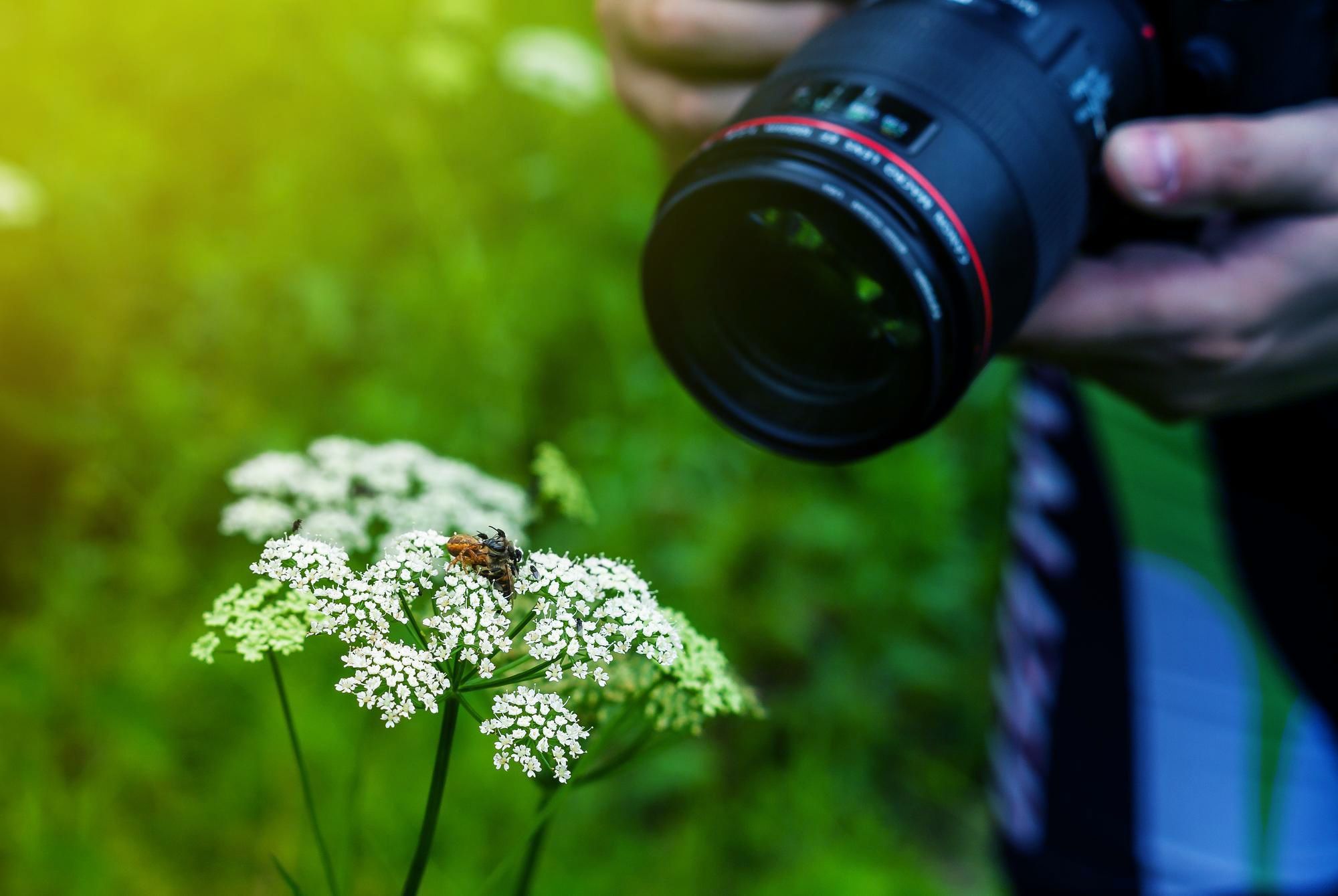 Definition of aperture in photography - Camera Wall